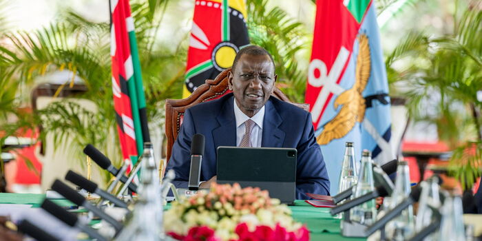 MP Wandeto Alleges Ruto's Growing Advisor List Reflects Cabinet Mistrust - Kenyans.co.ke